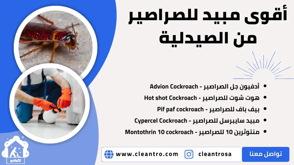 أقوى مبيد للصراصير من الصيدلية - كلينترو